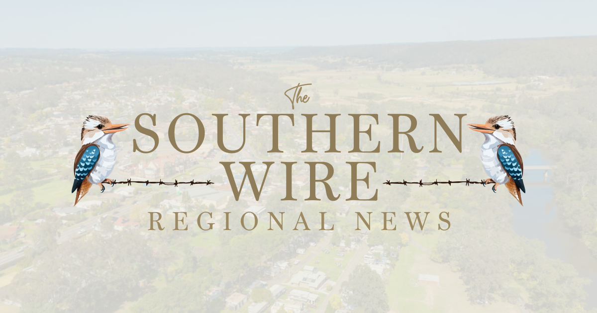 The Southern Wire
